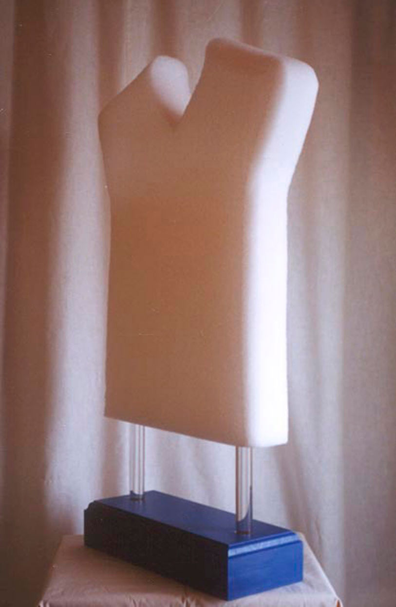 Museum Exhibition Designer | Custom Exhibit & Display Case Design